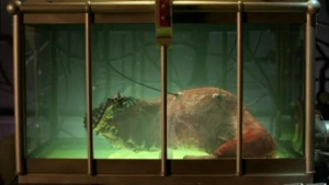 Goa'uld queen | Stargate Resurgence Wiki | Fandom