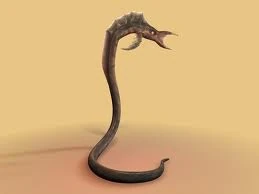 Goa'uld | Stargate Wiki | Fandom