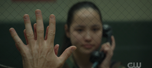 Artemis Crock | Stargirl Wiki | Fandom