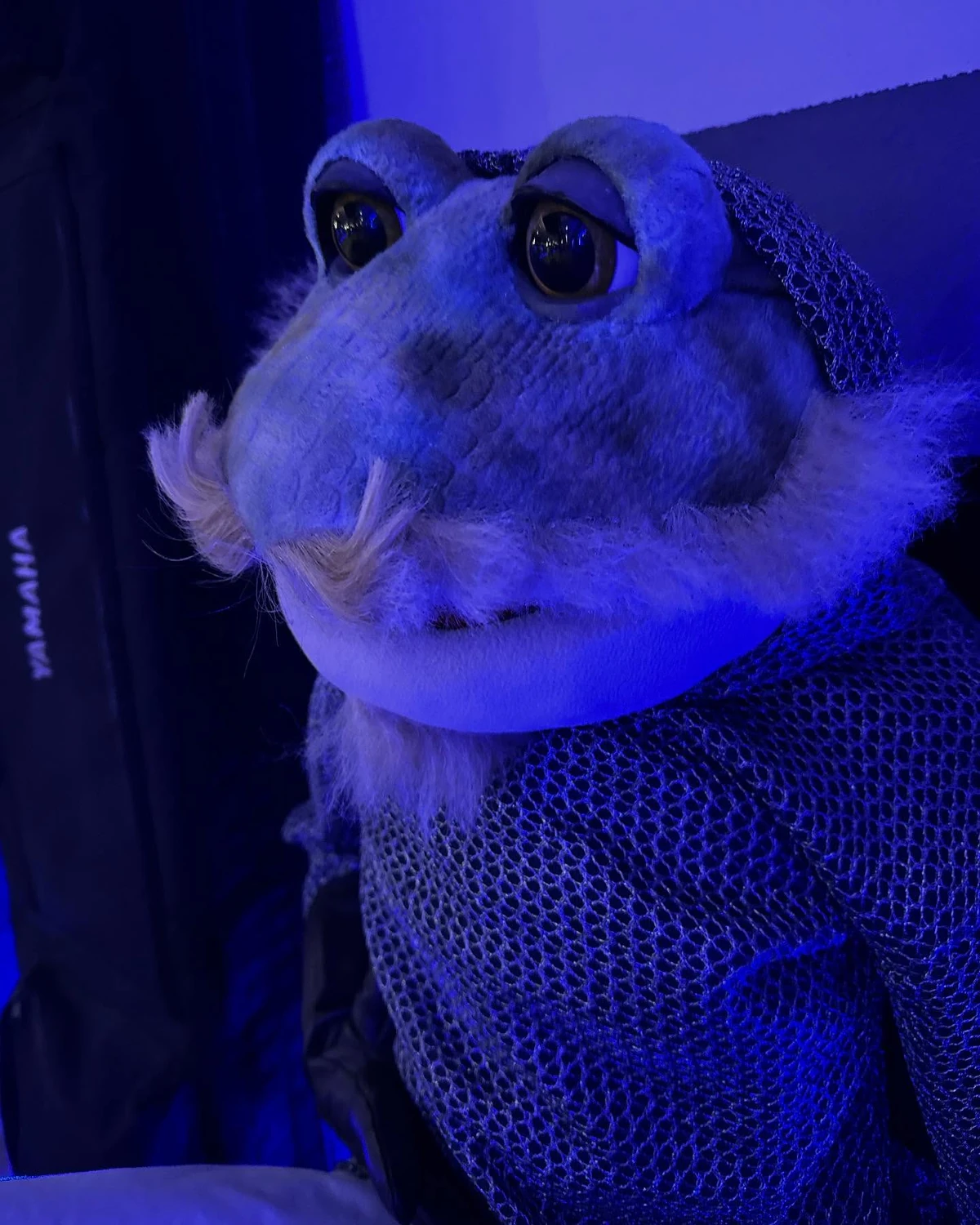 Sir Hop-A-Lot/Gallery/Behind the Scenes Photos | Team StarKid Wiki | Fandom