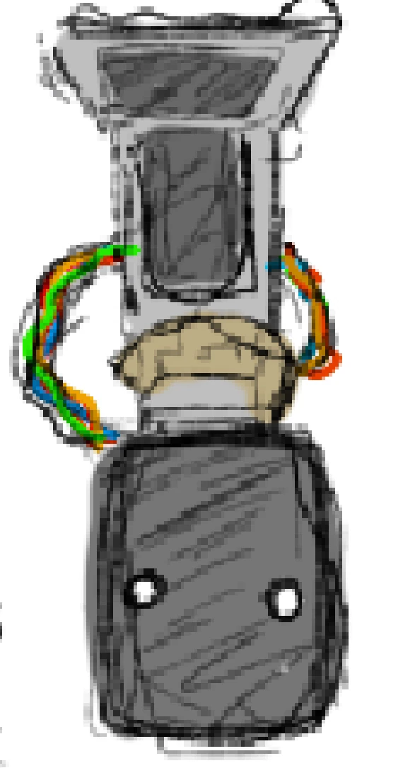 Noodle | Starla Wiki | Fandom