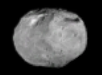 vesta dwarf