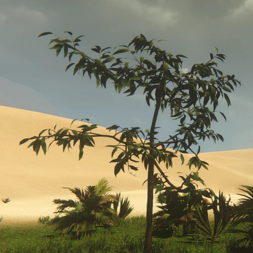 Mango tree | Starsand Wiki | Fandom