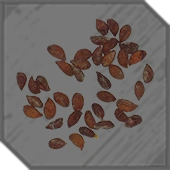 Pineapple Seed | Starsand Wiki | Fandom