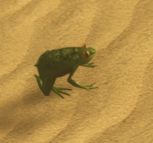 Frogs | Starsand Wiki | Fandom