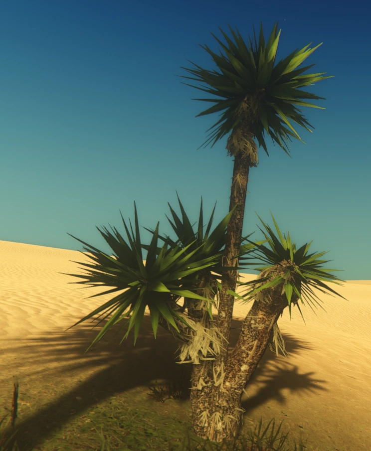 Yucca | Starsand Wiki | Fandom