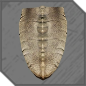 Tail | Starsand Wiki | Fandom