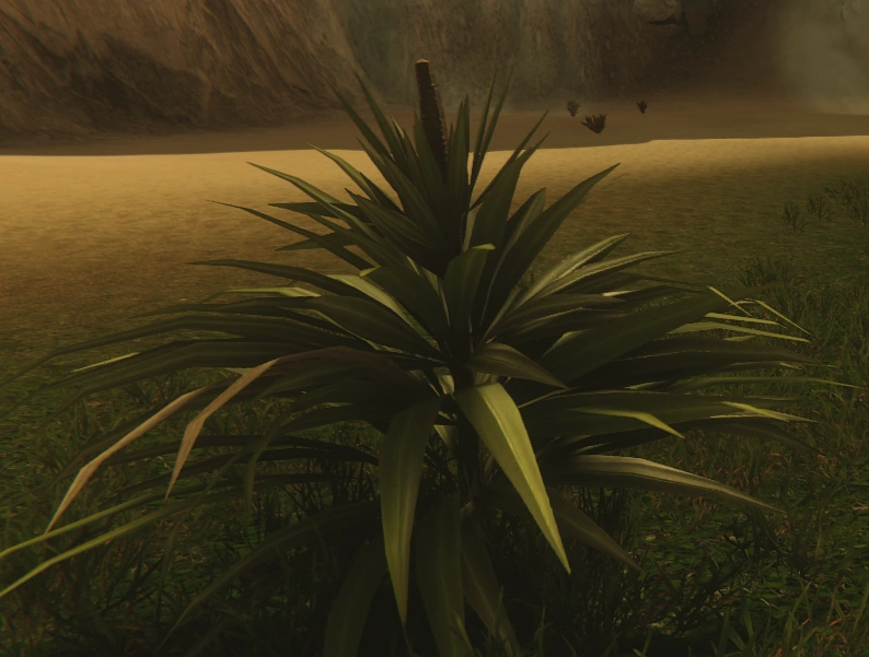 Pineapple plant | Starsand Wiki | Fandom