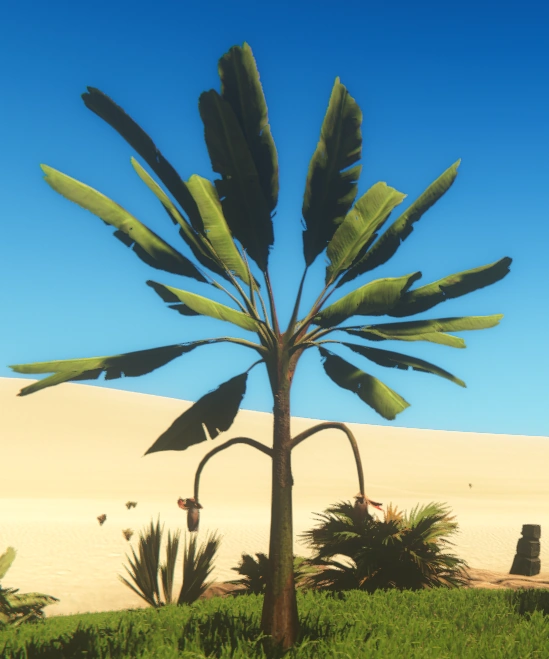 Banana tree | Starsand Wiki | Fandom