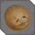 Coconut Grenade | Starsand Wiki | Fandom