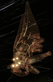 Harbinger | Starscape Wiki | Fandom