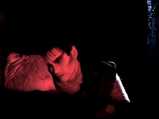 Nebari | Starscape Wiki | Fandom