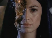 Bioloids | Starscape Wiki | Fandom