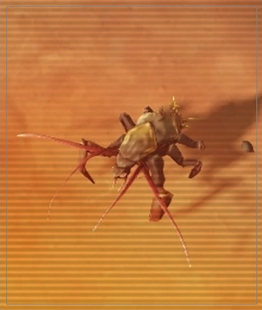 Scout Bug | Starship Troopers Fanon Wiki | Fandom