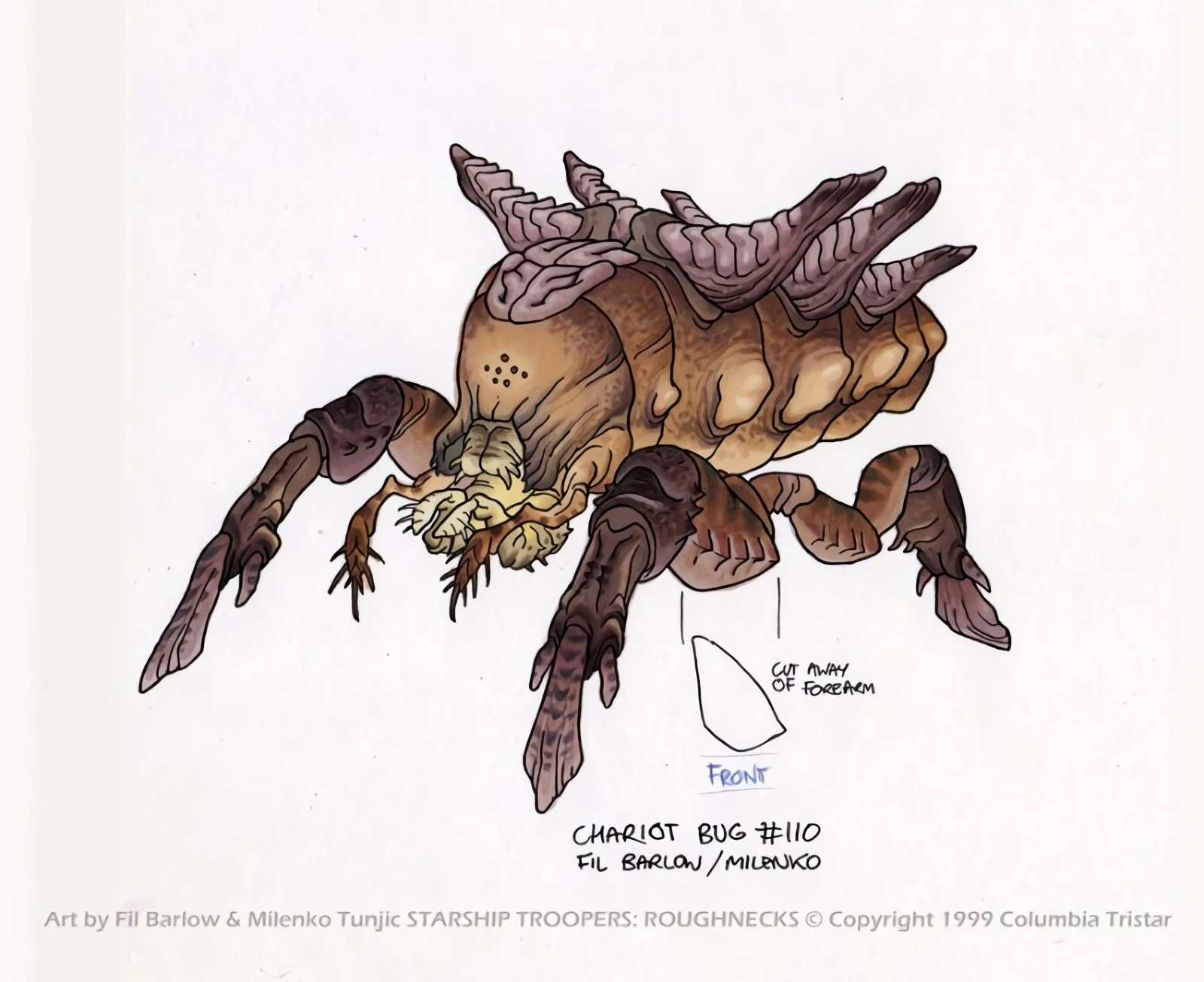 Starship Troopers Bugs Types