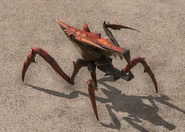 Royal Guard Bug | Starship Troopers Wiki | Fandom