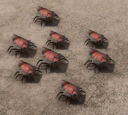 Chariot Bug | Starship Troopers Wiki | Fandom