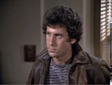 David Starsky | Starsky and Hutch Game Wiki | Fandom