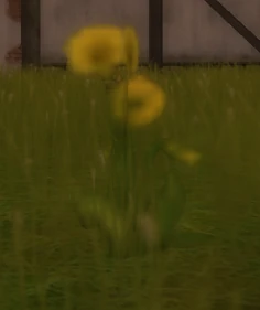 Maskrosor | Starstableonline Wiki | Fandom