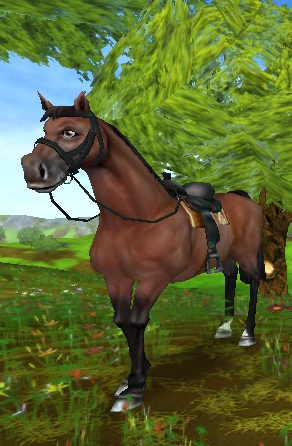 Old Faithful | Starstableonline Wiki | Fandom