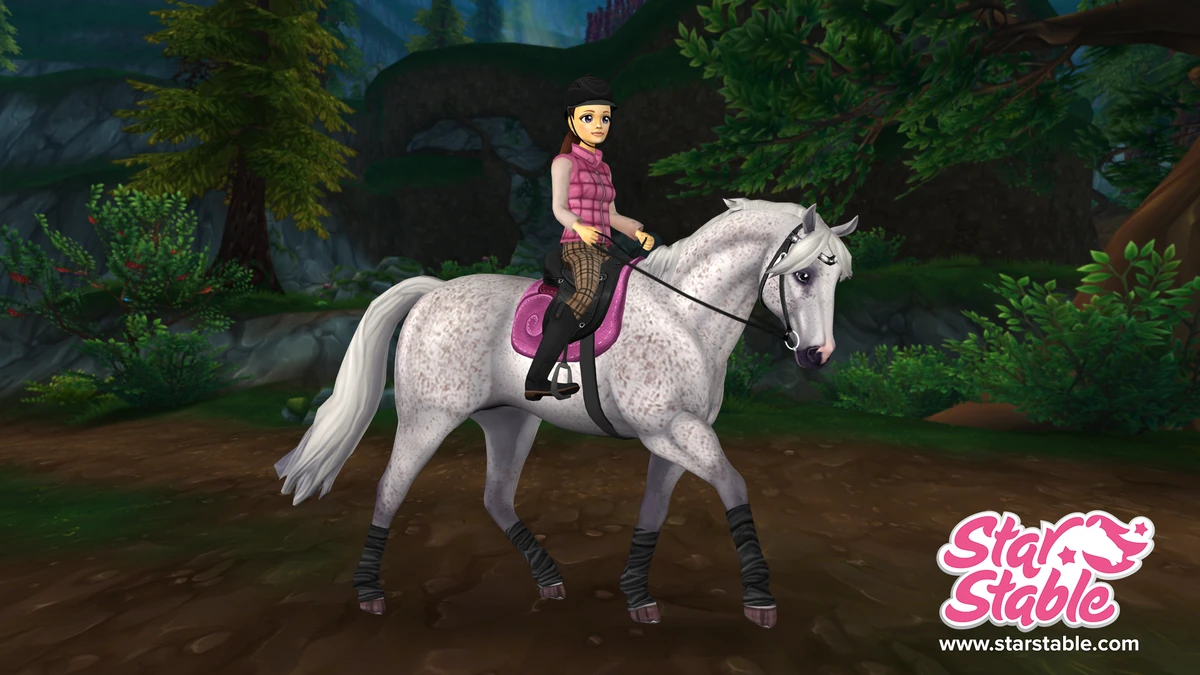 Connemara | Starstableonline Wiki | Fandom