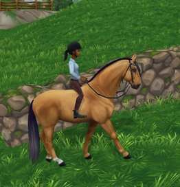 Sindra | Starstableonline Wiki | Fandom
