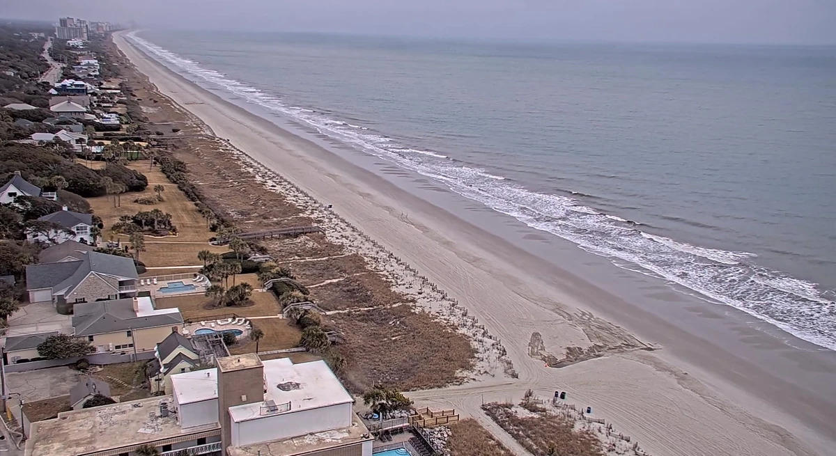 South Carolina | Start a Mini Colony Wiki | Fandom