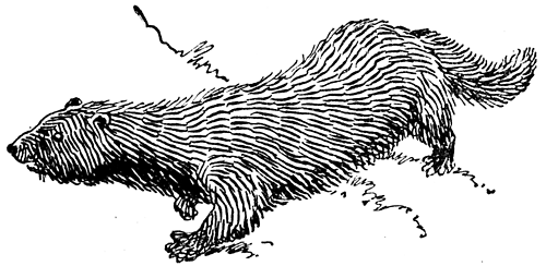 Bundle of Rags | Start A Round-Robin Story Wiki | Fandom