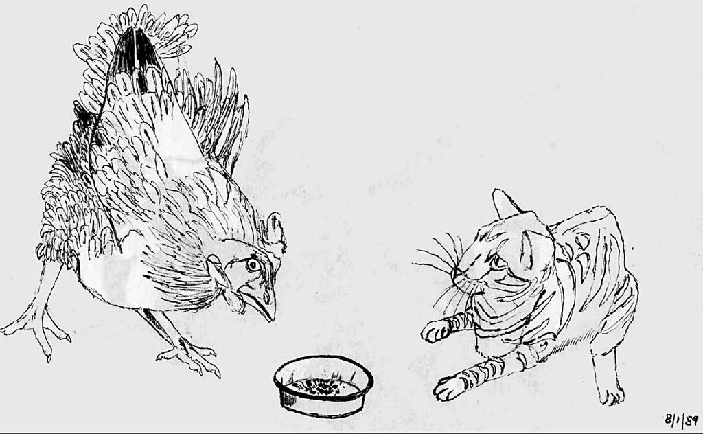 Feral Chickens | Start A Round-Robin Story Wiki | Fandom