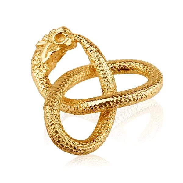 The Dragon's Flashback | Start A Round-Robin Story Wiki | Fandom