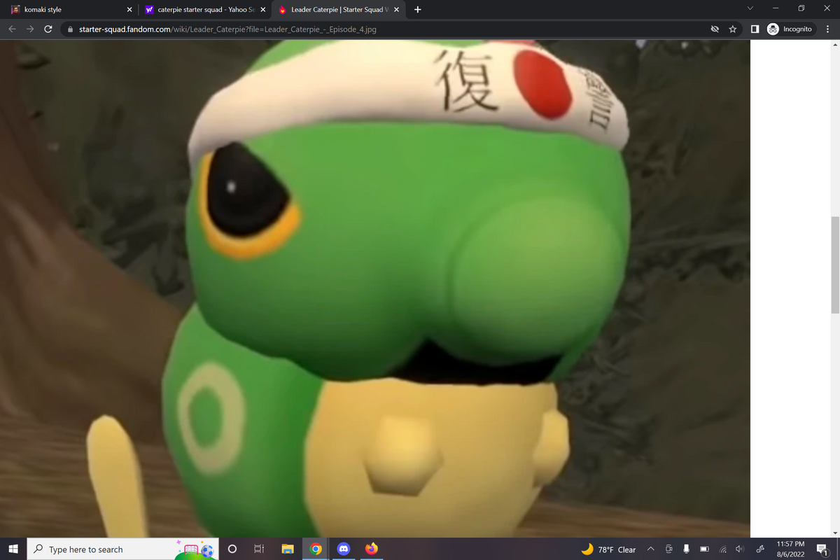 Leader Caterpie Starter Squad Real Time Fandub Wiki Fandom