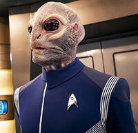 Saurian | Memory Beta, non-canon Star Trek Wiki | Fandom