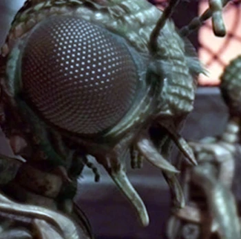 Xindi-Insectoid | Memory Beta, non-canon Star Trek Wiki | Fandom