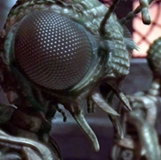 Xindi-Insectoid | Memory Beta, non-canon Star Trek Wiki | Fandom