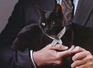 Assignment: Earth (episode) | Memory Beta, non-canon Star Trek Wiki ...