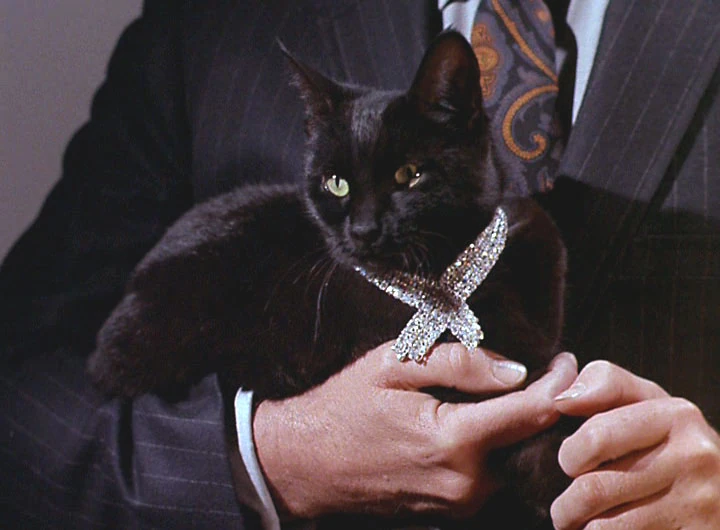 Isis | Memory Beta, non-canon Star Trek Wiki | Fandom