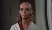 The Motion Picture | Memory Beta, non-canon Star Trek Wiki | Fandom