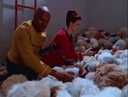 Trials and Tribble-ations | Memory Beta, non-canon Star Trek Wiki | Fandom