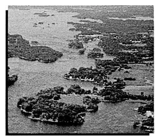 Paul O'Connor | Memory Beta, non-canon Star Trek Wiki | Fandom