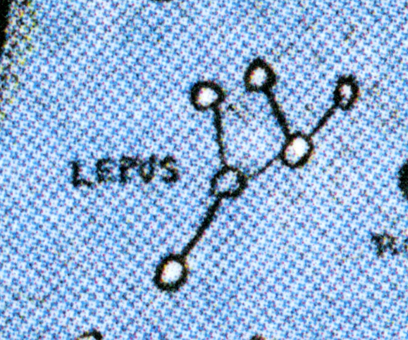 Lepus Constellation Stars