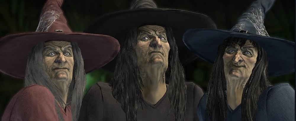 Elder witch | Memory Beta, non-canon Star Trek Wiki | Fandom