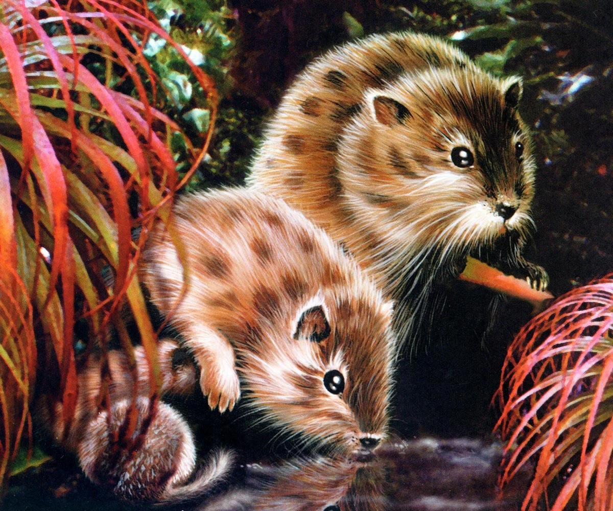 Burrow dog | Memory Beta, non-canon Star Trek Wiki | Fandom