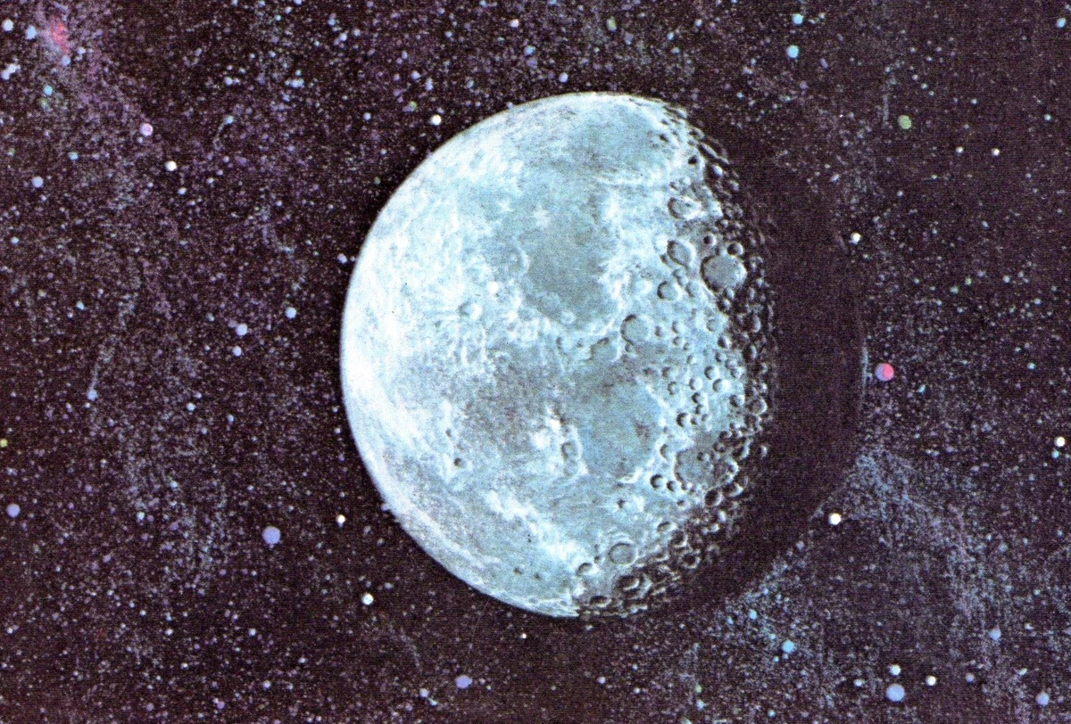 Disneymoon | Memory Beta, non-canon Star Trek Wiki | Fandom