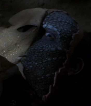 Malurian | Memory Beta, non-canon Star Trek Wiki | Fandom