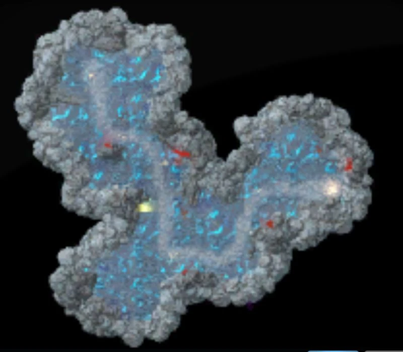 Beneath the Skin (STO) | Memory Beta, non-canon Star Trek Wiki | Fandom