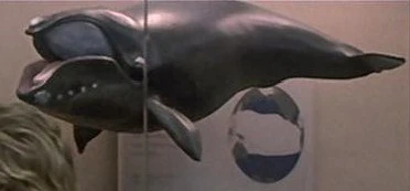 Right whale | Memory Beta, non-canon Star Trek Wiki | Fandom