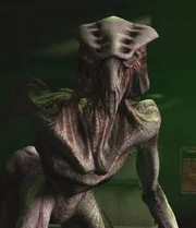 Undine | Star Trek Online Wiki | Fandom