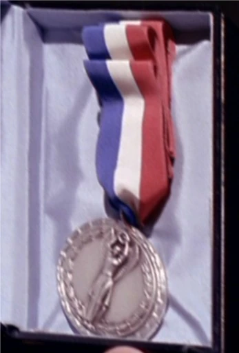 Starfleet Medal of Honor | Star Trek: The Lionhearted Wiki | Fandom
