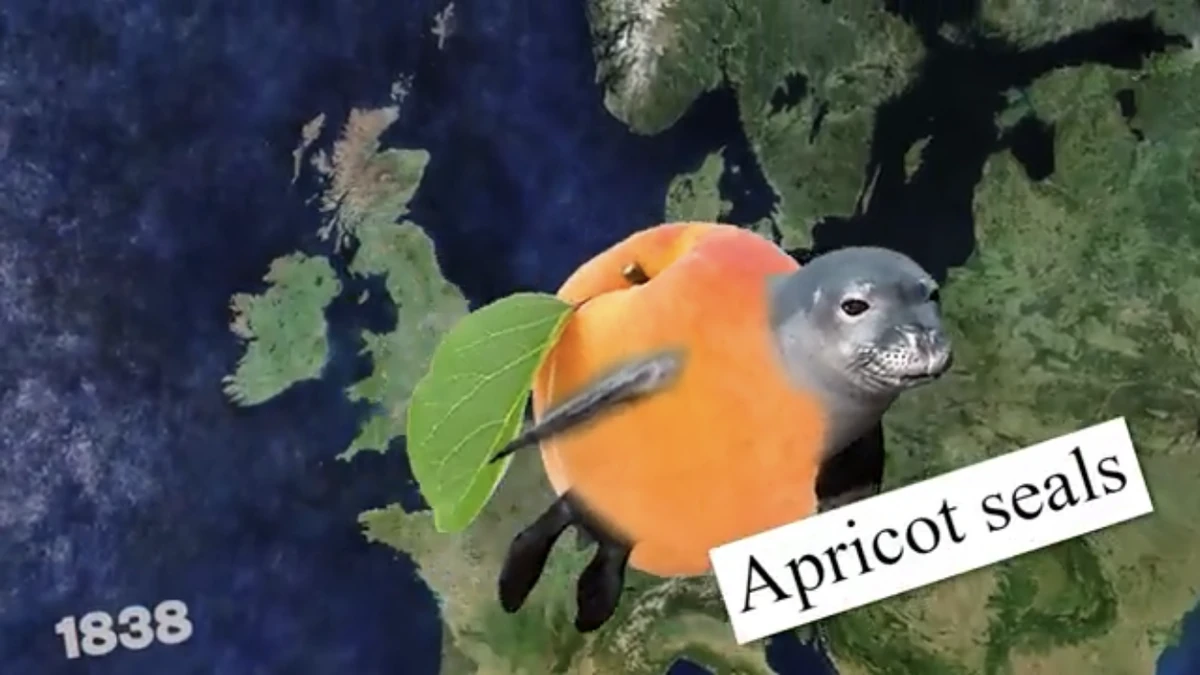 Apricot seals | StarvHarv Fan Wiki | Fandom