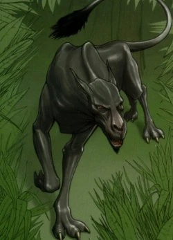 Pax | Star Wars: Exodus Visual Encyclopedia | Fandom